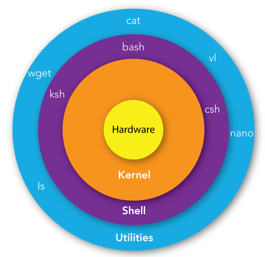Shell Scripting Tutorial For Beginners What Is Shell Scripting 2022 
