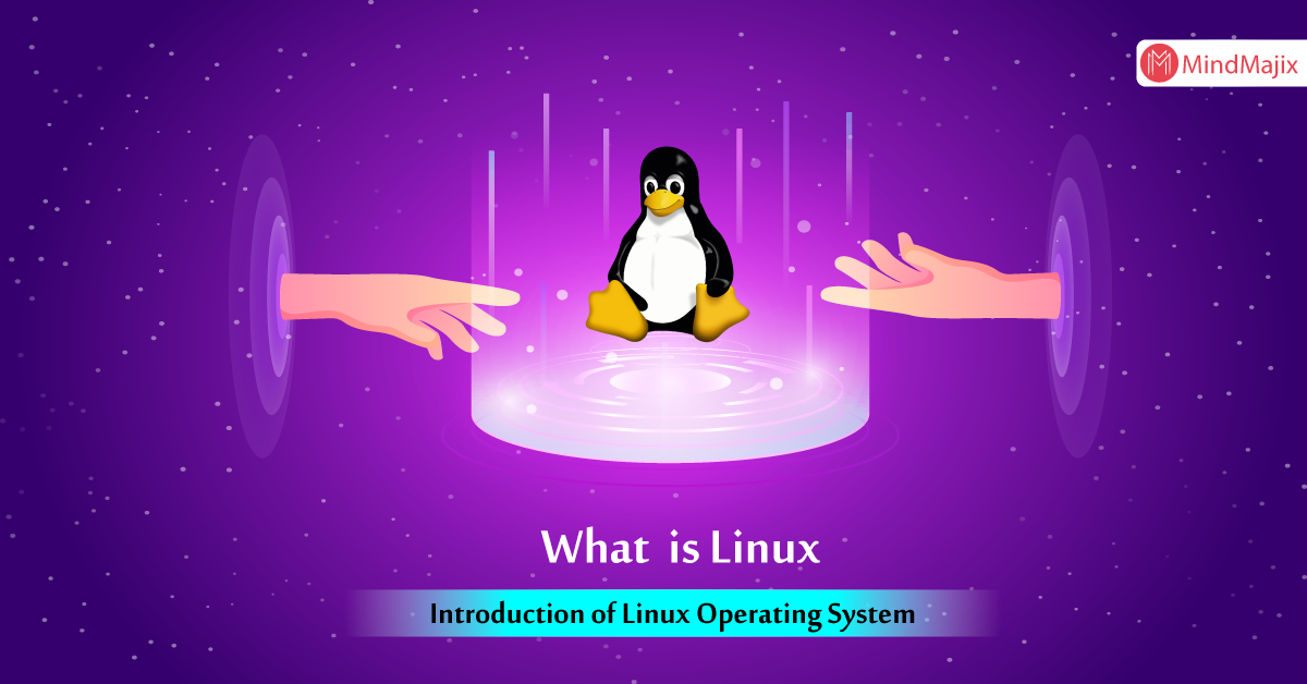 Introduction To Linux Operating System What Is Linux In 2024